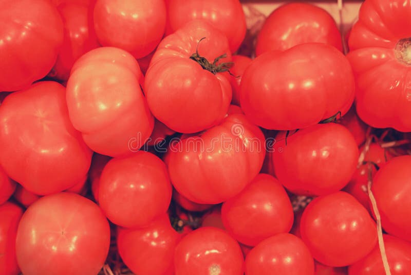 Background of Red Tomatoes, Close-up. Texture of Large Ripe Vegetables ...