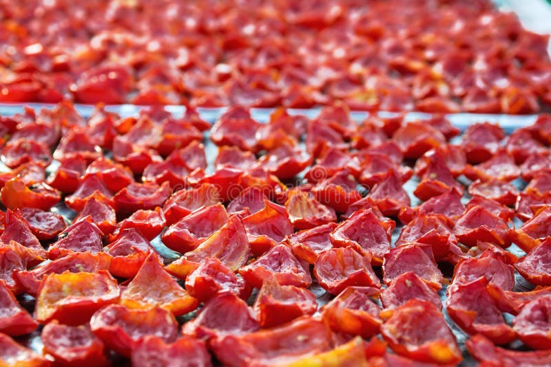 Background of Red Tomatoes Slices Drying in the Sunlight Stock Photo ...