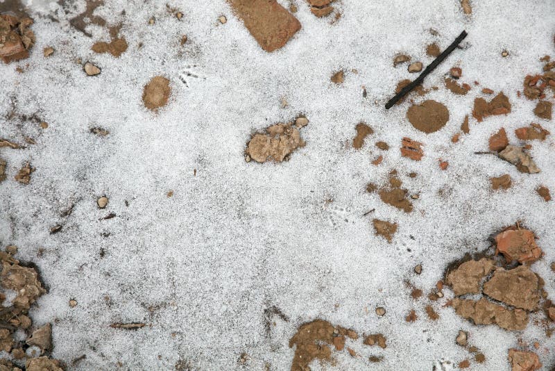 Background of Residual Snow on the Land Stock Photo - Image of soil ...