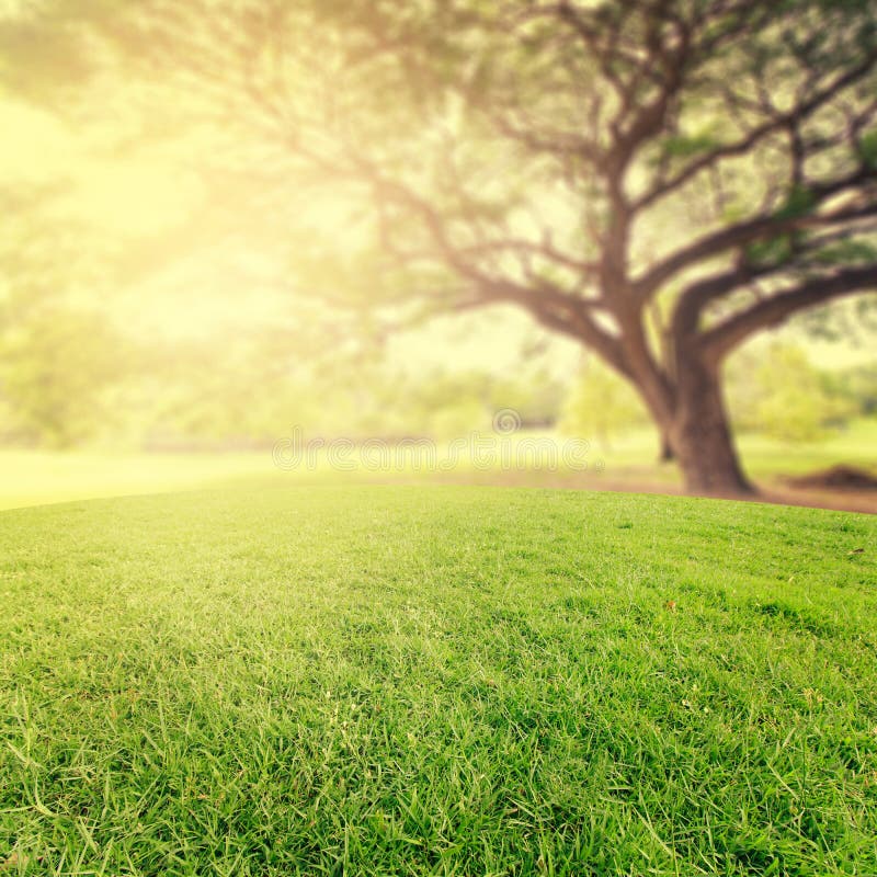 Background Retouch Vintage Style Park Stock Photos - Free & Royalty ...