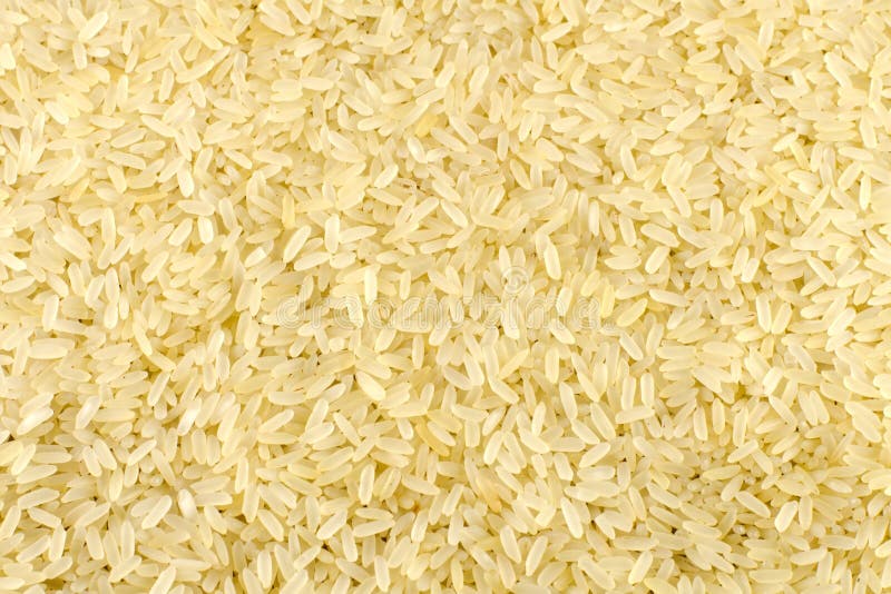 Background of rice stock photo. Image of plenty, grains - 22102688