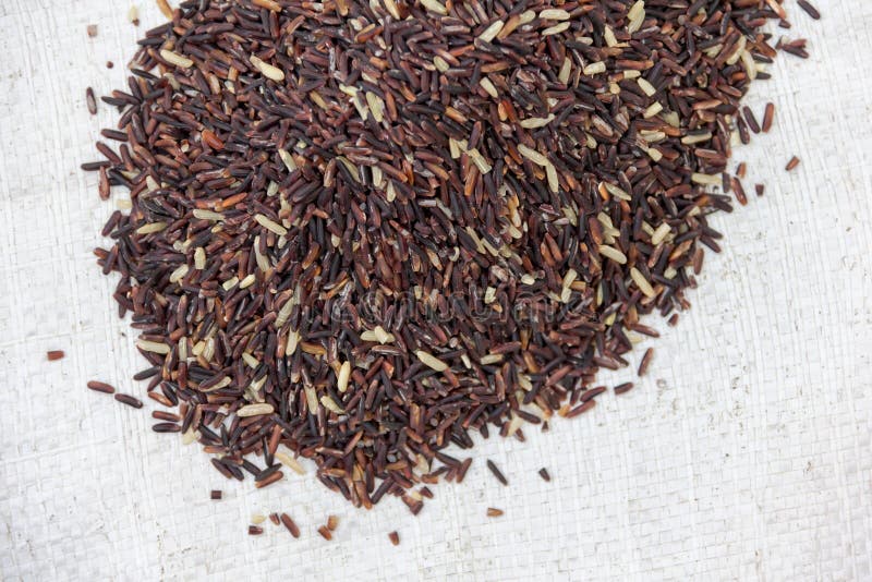 Background of Rice Berry Grain Stock Image - Image of seed, cuisine ...