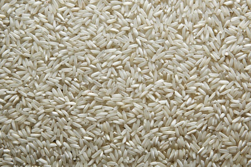 Background of Rice. Rice Texture. Rice Grains Closeup Stock Image ...