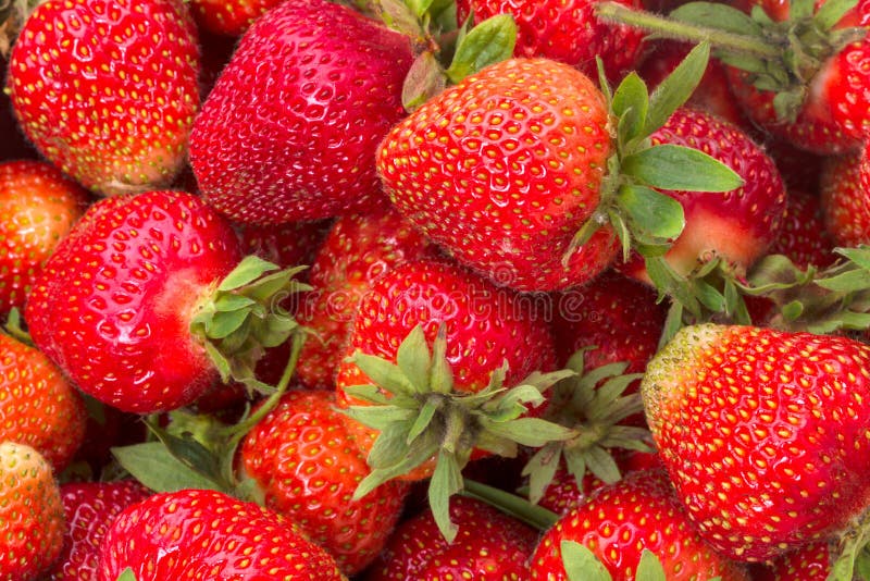 Background of Ripe Large Strawberries Stock Image - Image of gourmet ...