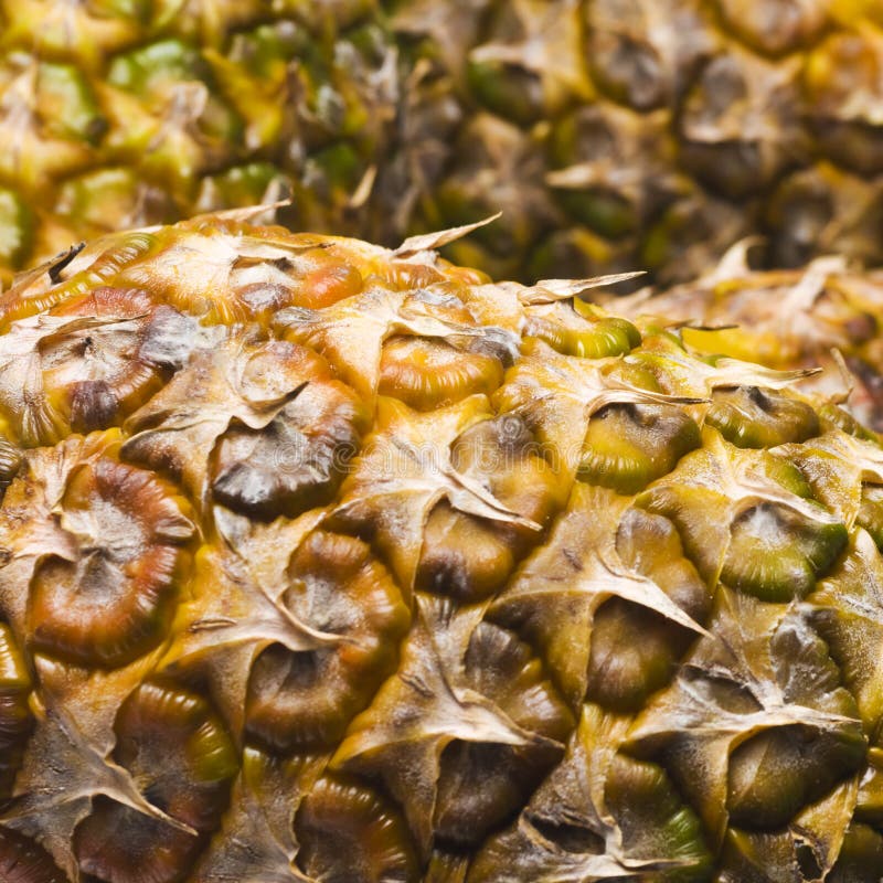 Pineapple close up 3 stock photo. Image of close, healthy - 13349192