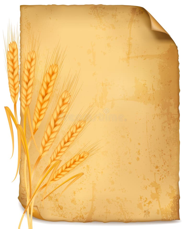 Yellow Wheat Background Stock Illustrations – 52,094 Yellow Wheat ...