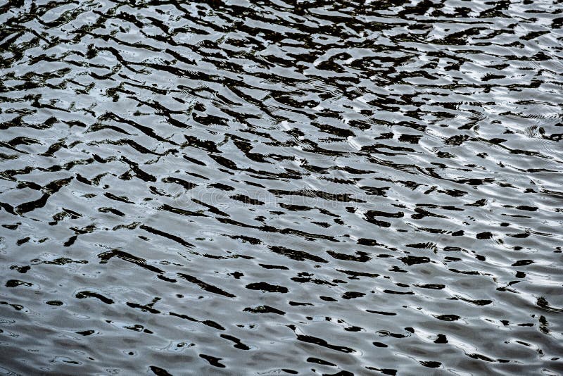 Background of Ripple Water, White and Grey Background. Stock Photo ...