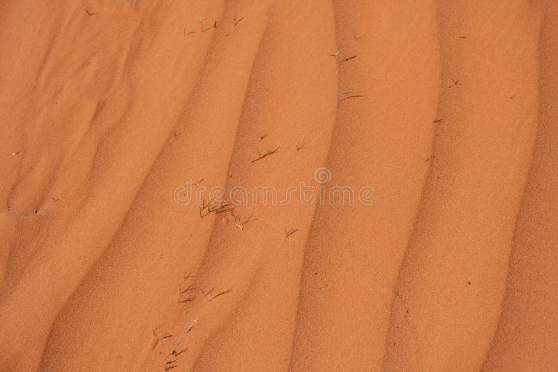 Rippled Surface of a Red Sand Dune Stock Image - Image of wood, lines ...