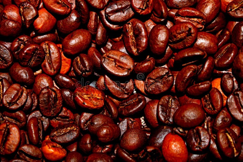 Fried Coffee Beans. Background Stock Photo - Image of espresso ...