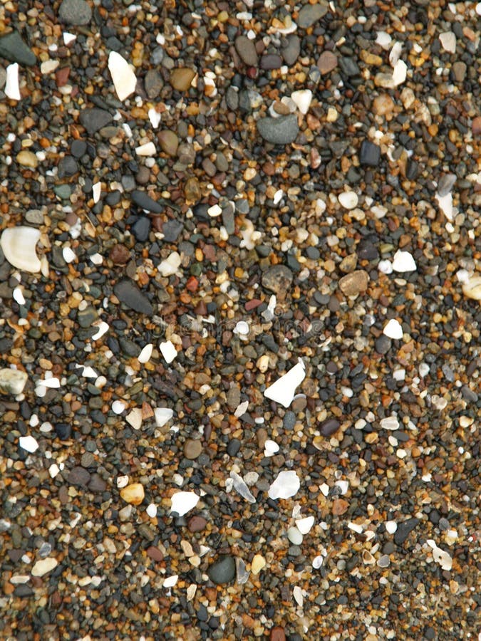 Background of Rocks and Shells Stock Photo - Image of surface, geology ...