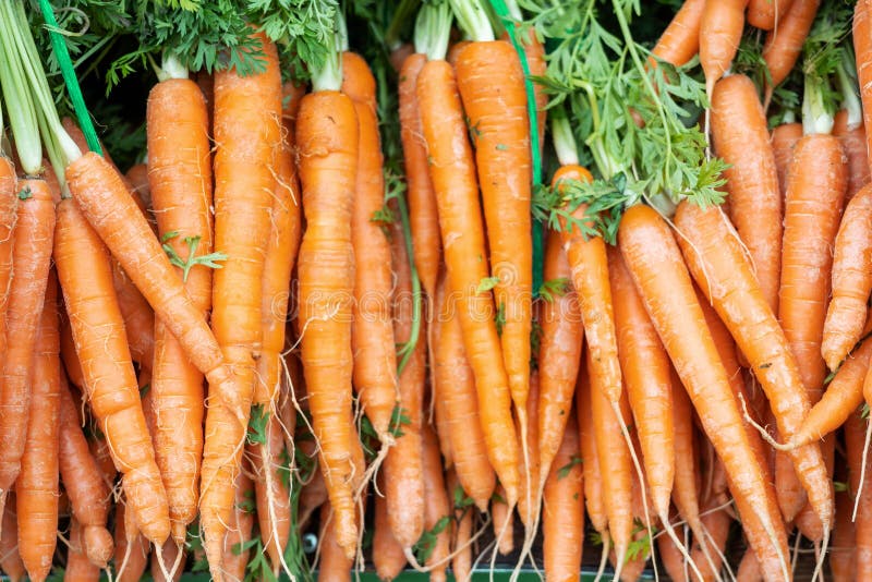 Background of Root Vegetables, Pile of Raw Carrots for Healthy Eating ...