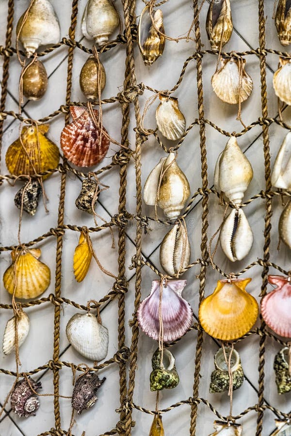 Background from the Rope-bound Sea Shells Stock Photo - Image of shells ...