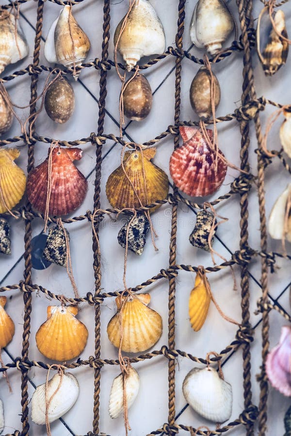 Background from the Rope-bound Sea Shells Stock Photo - Image of ...