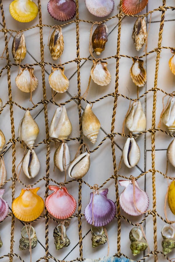 Background from the Rope-bound Sea Shells Stock Photo - Image of ...