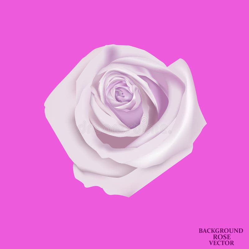 Rose Heading Stock Illustrations – 191 Rose Heading Stock Illustrations ...