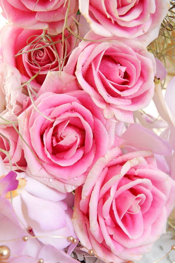 Background with roses stock photo. Image of design, filter - 25659558