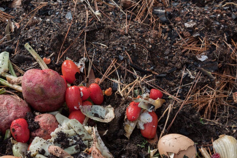 Background of Rotting Food Scraps Mixed with Organic Soil, Space for ...
