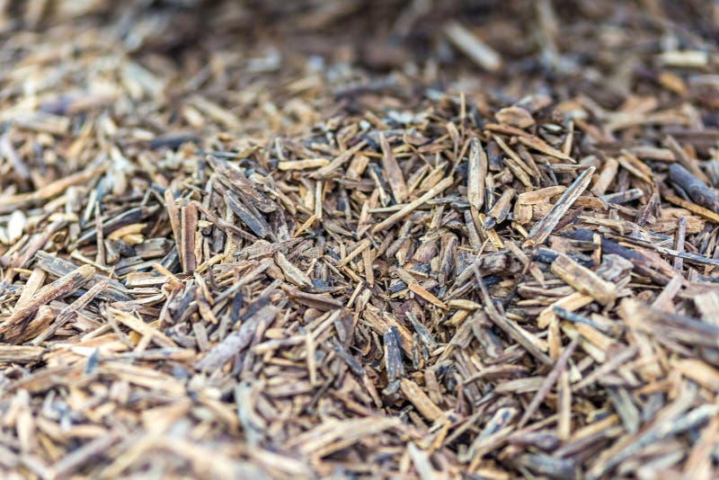 Rough wood chips stock photo. Image of close, abstract - 131672638