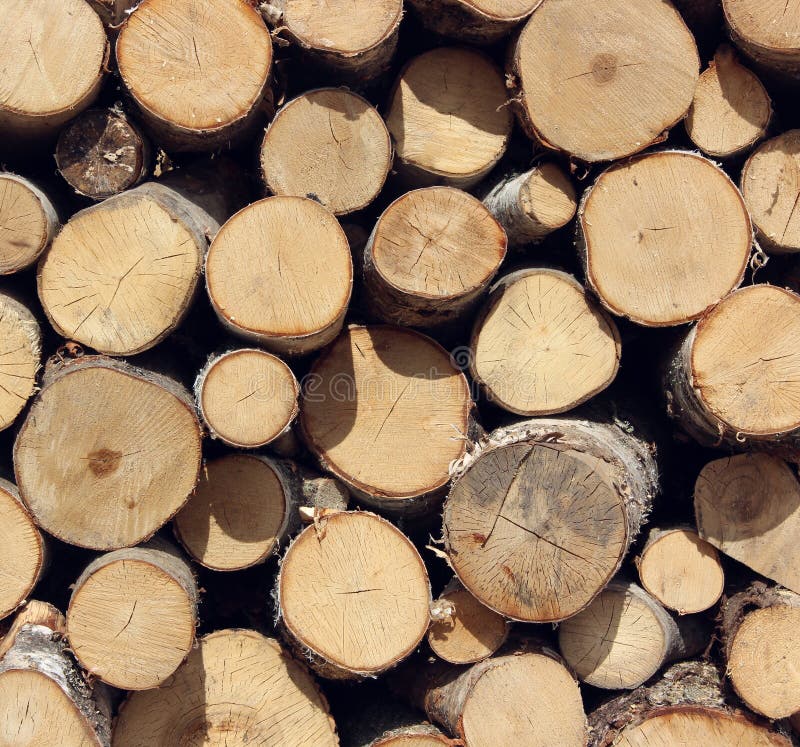 Background of Round Logs of Deciduous Trees Stock Photo - Image of ...