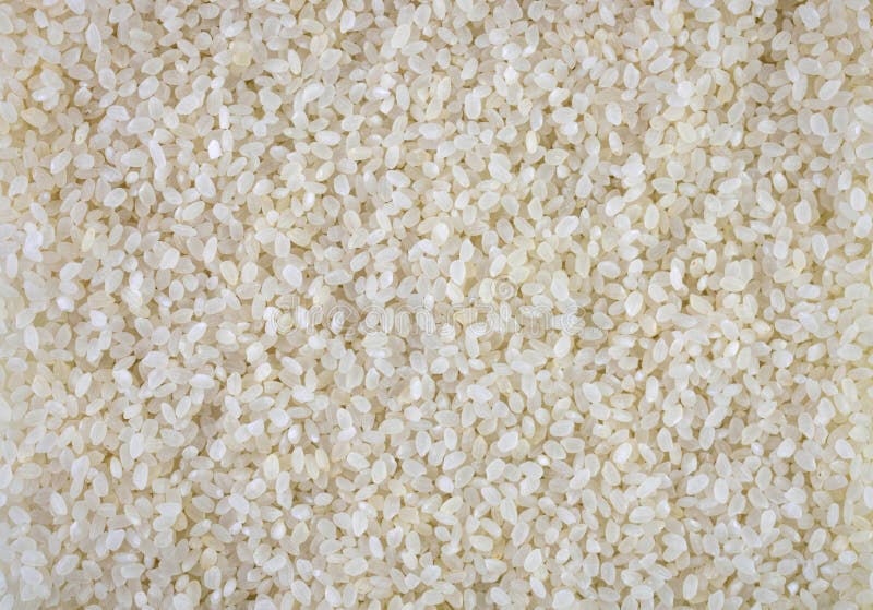 Background from Round Polished Rice. Copy Space. Stock Image - Image of ...
