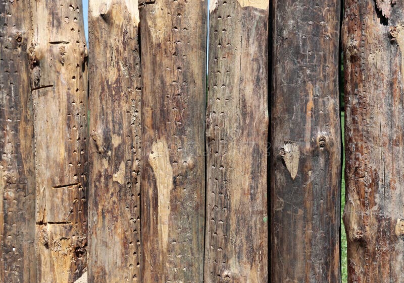 Background of Rude Logs Stockade Stock Photo - Image of architecture ...