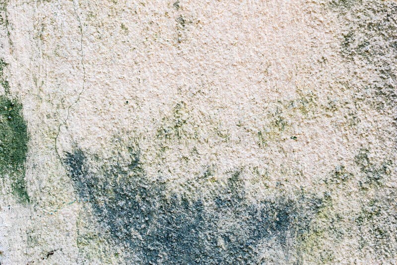 Background of Rustic Molds, Wall of Molds Stock Image - Image of ...