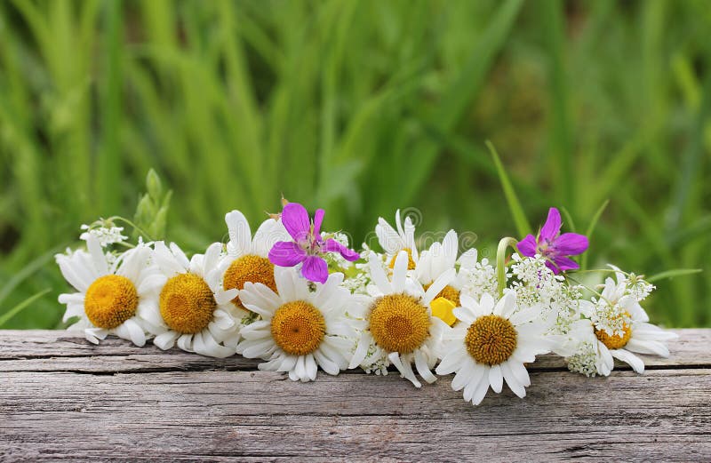 Background in a Rustic Style with Wild Flowers on an Old Log. Stock ...