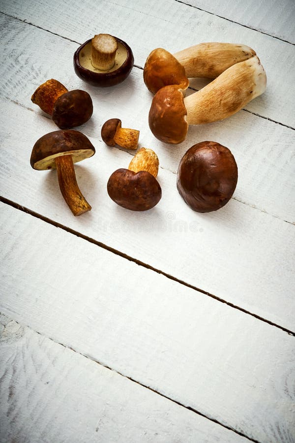 Background with Rustic White Boards and Fresh Brown Mushrooms Stock ...