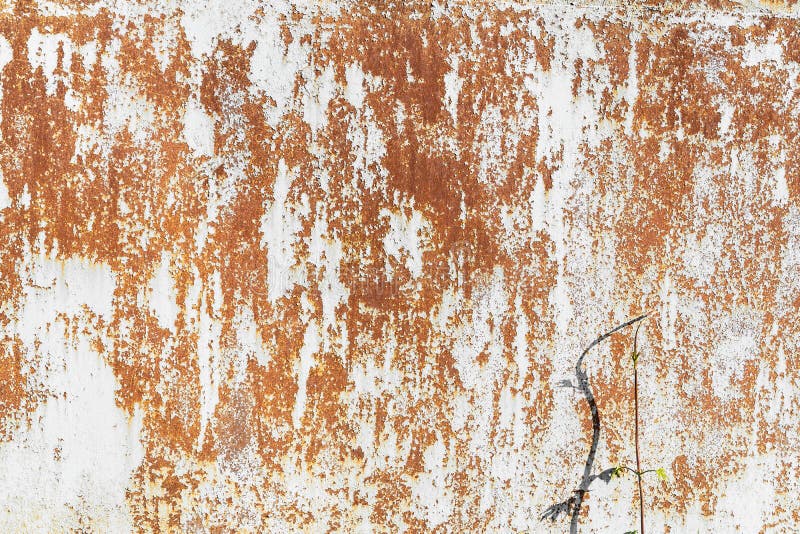 Background Rusty Iron Sheet Stained with White Paint with Red Spots of ...