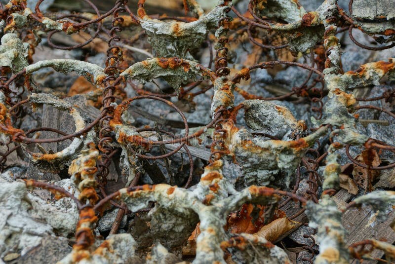 Rusty Old Bed Springs stock photo. Image of antique, rotten - 73049736