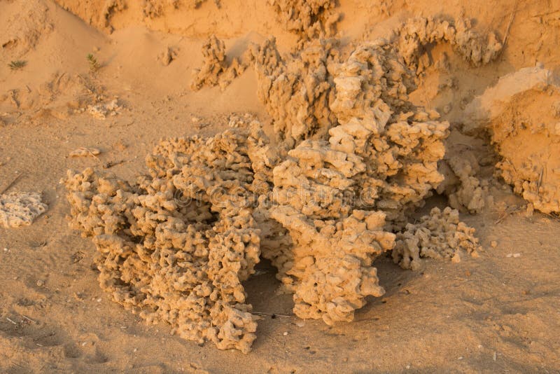 Interesting Structures Created by the Wind from the Sand on the ...