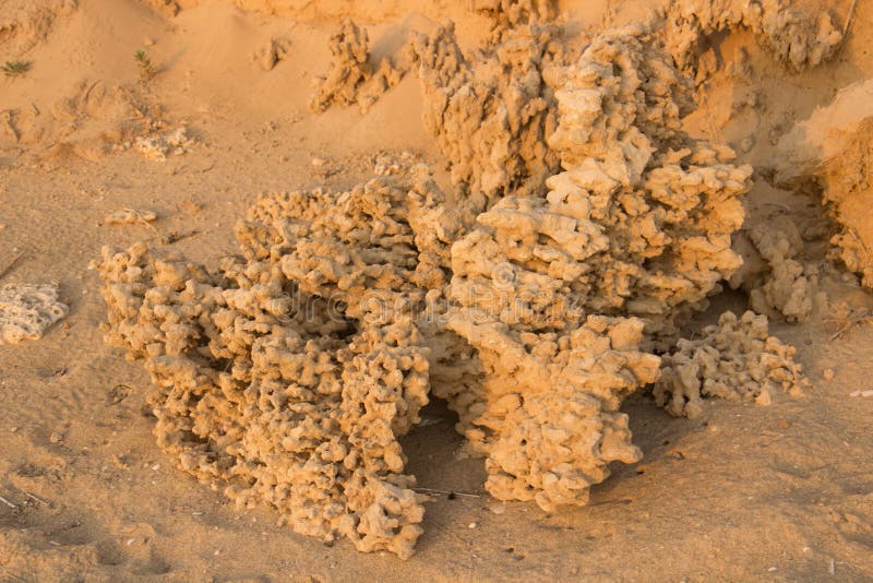 Interesting Structures Created by the Wind from the Sand on the ...