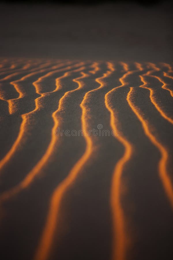 Background Sand Pattern in the Desert at Sunset Stock Image - Image of ...