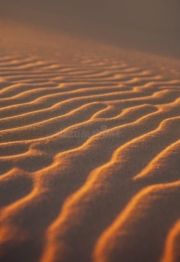 Background Sand Pattern in the Desert at Sunset Stock Photo - Image of ...