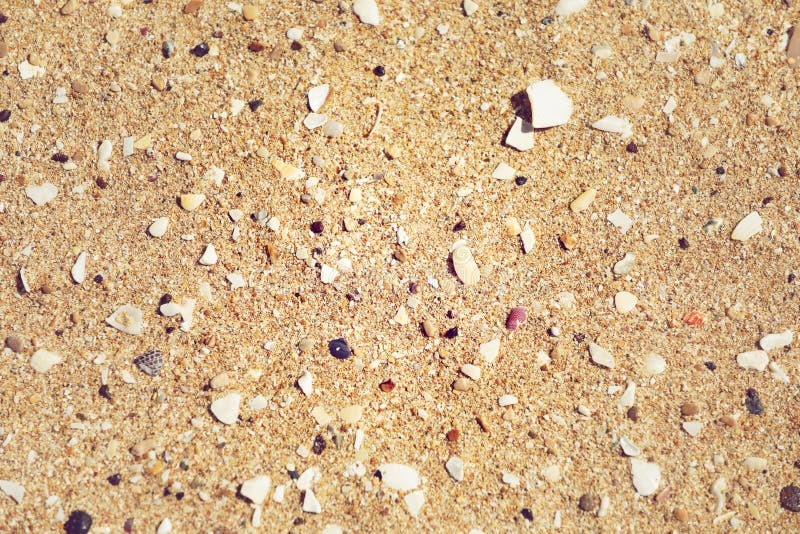 Background Sandy Beach Sand Grain Stock Image - Image of sand, deco ...