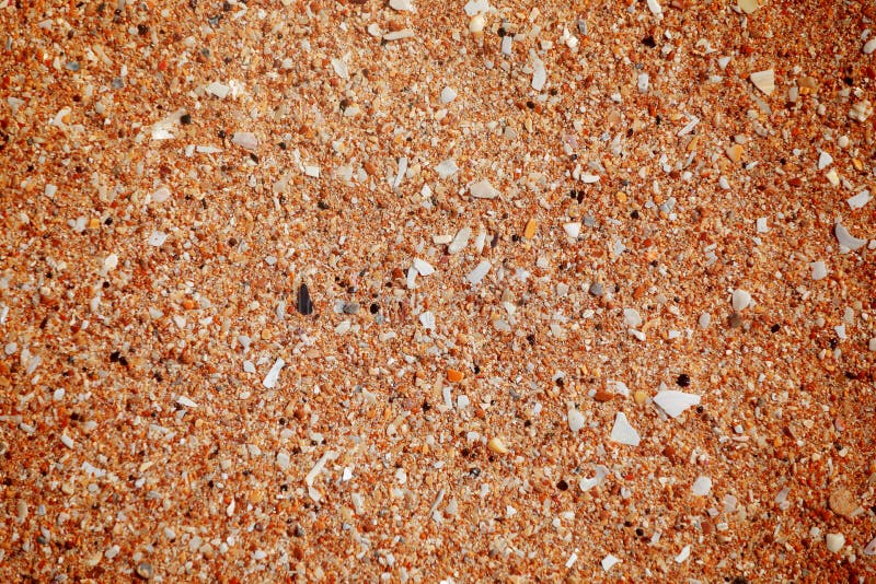 Background Sandy Beach Sand Grain Stock Image - Image of coupon ...
