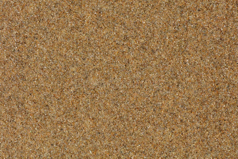 Background Sandy Beach Sand Grain Stock Image - Image of shells ...
