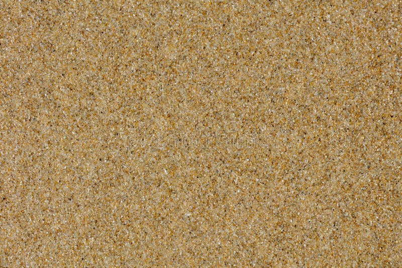Background Sandy Beach Sand Grain Stock Photo - Image of holidays ...
