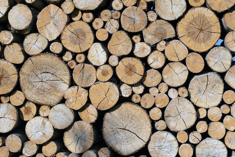 Background of Sawn Logs of Different Diameter Folded Wall Stock Photo ...