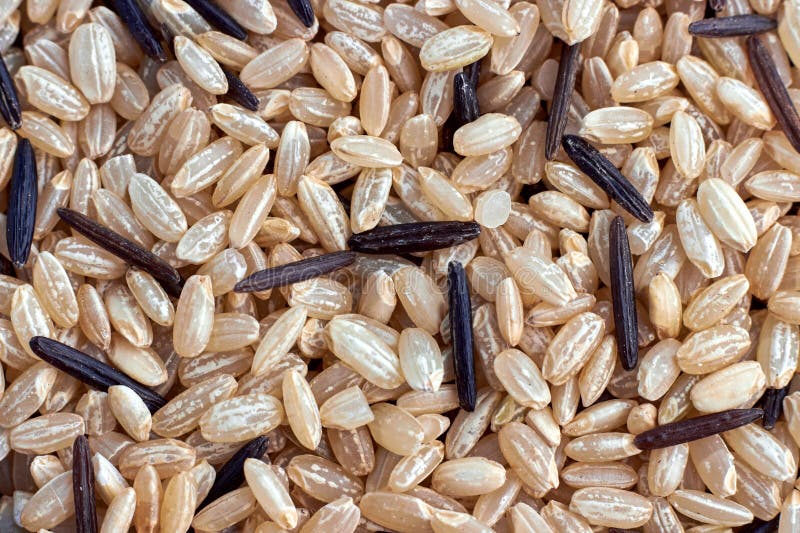 Background of Scattered Brown and Black Wild Rice. Coarse Rice with a ...