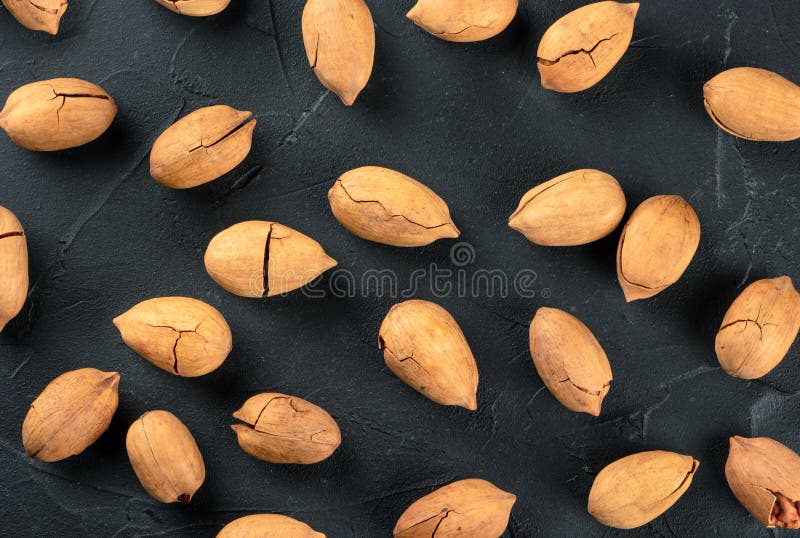 Pecan nut in shell stock photo. Image of falling, cracked - 250831378