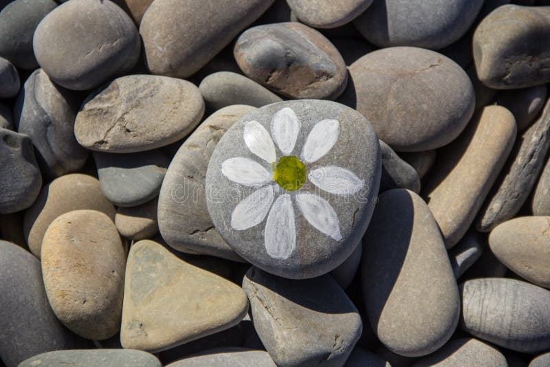 Background of Sea Stones. One Pebbles with Drawn Chamomiles Stock Image ...