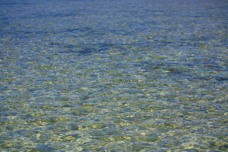 Background-sea surface stock photo. Image of shiny, bright - 12808102