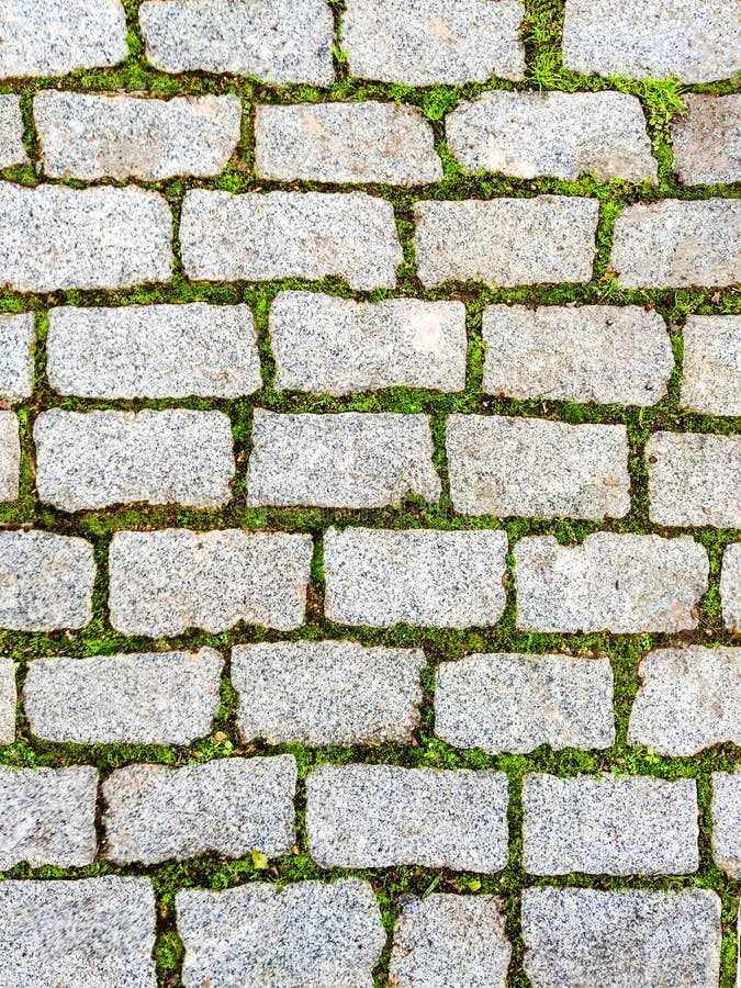 Background Seamless Texture of Green Grass Sprouted between Bricks of ...