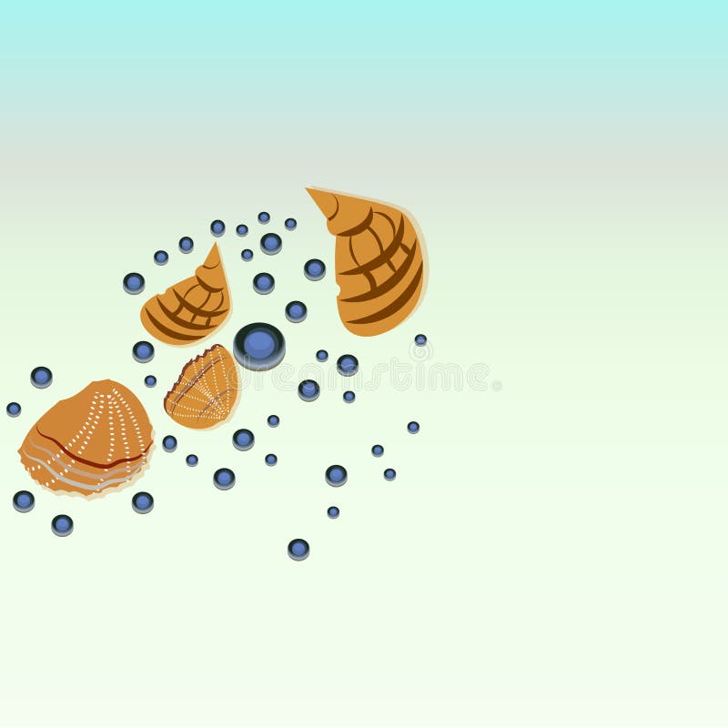 Background with Seashell. Hand Drawn Stock Vector - Illustration of ...