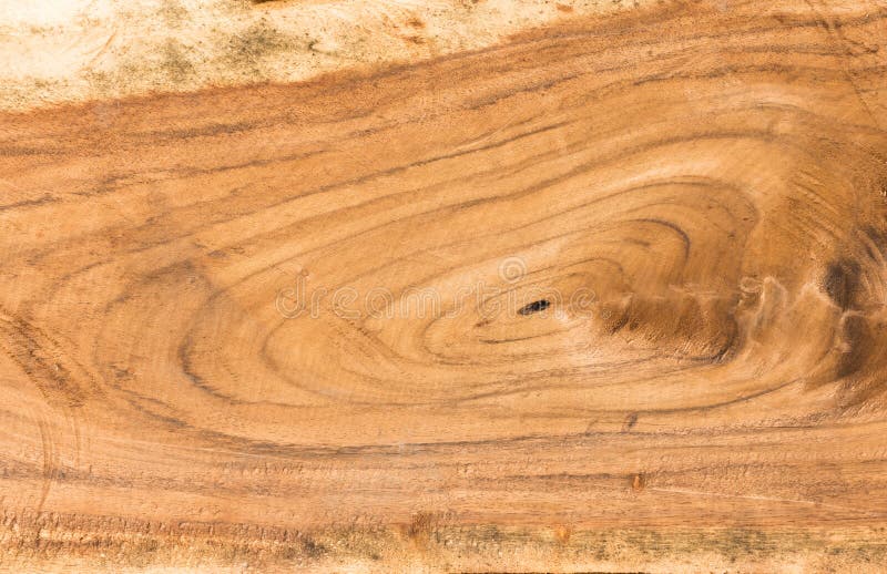 Background of Section Wood Cutting Surface Stock Image - Image of ...