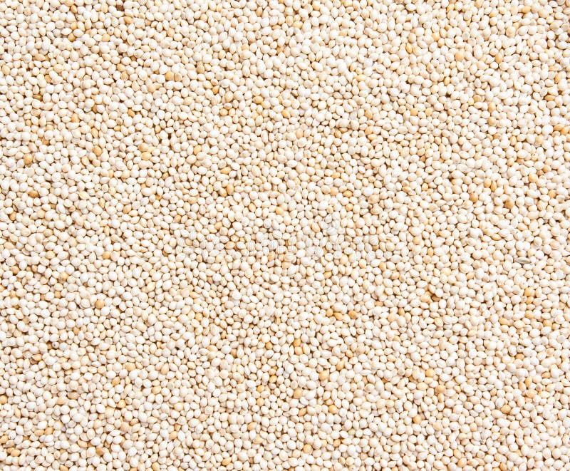Background of seed stock image. Image of grain, nutrition - 24024355