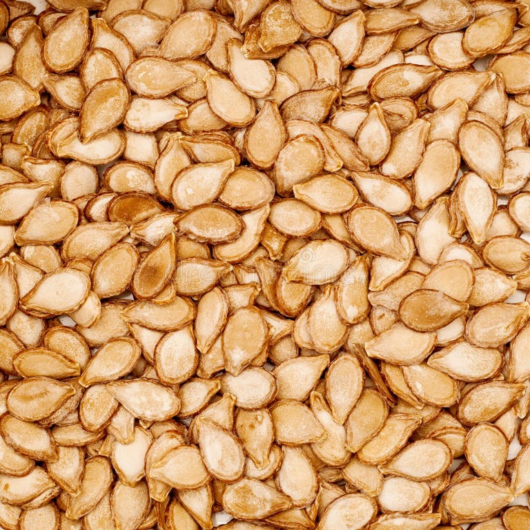Background of seeds stock image. Image of food, group - 19330367