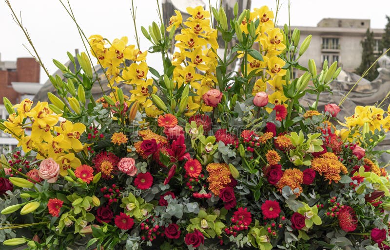 A Background with Several Varieties of Spring Flowers Stock Image ...