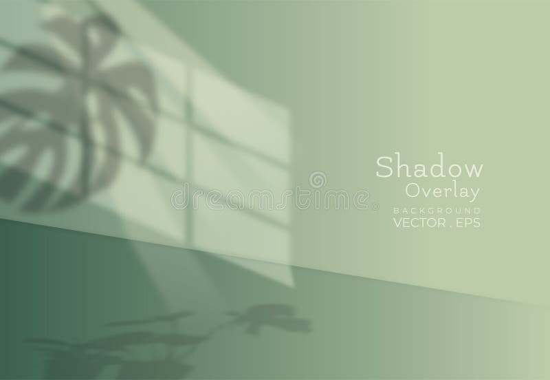 Background Shadow Overlay with Window and Plant Shadows Stock Vector ...